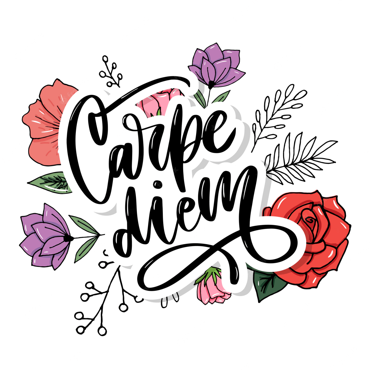 Chicken Vegetable Soup | Adjunct_Wizard