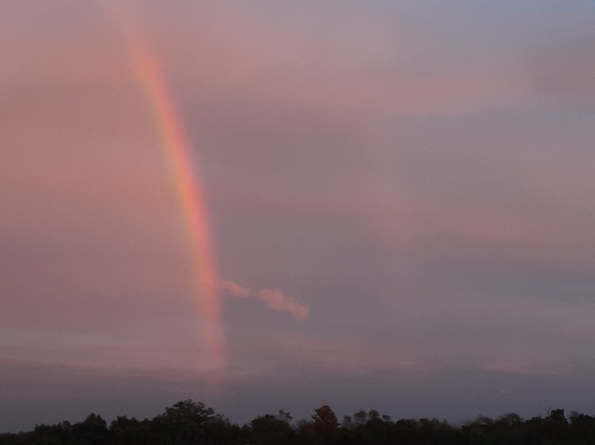 Inspiration in Song and Poetry | Adjunct_Wizard