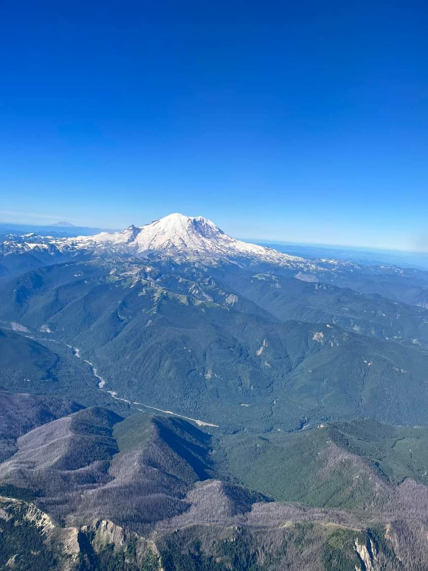 After Reflection | Adjunct_Wizard