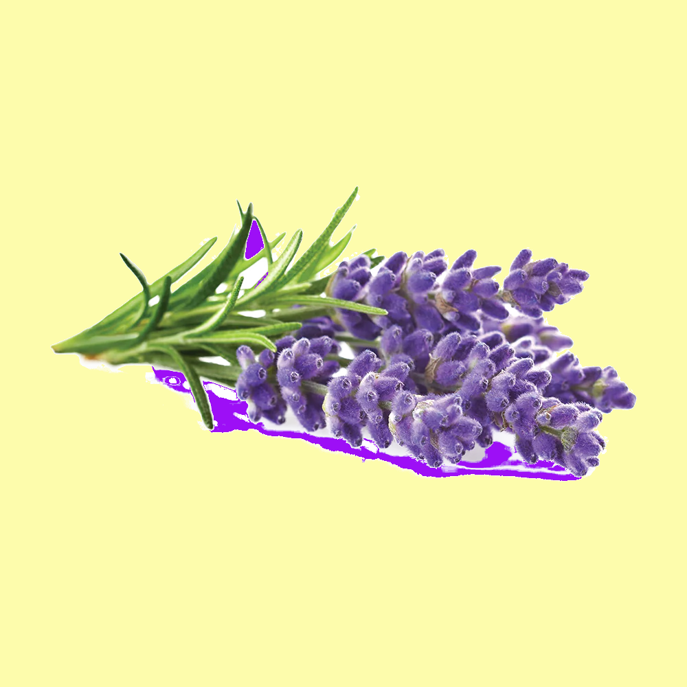 Is This Fly Shit or is it Pepper? | Adjunct_Wizard