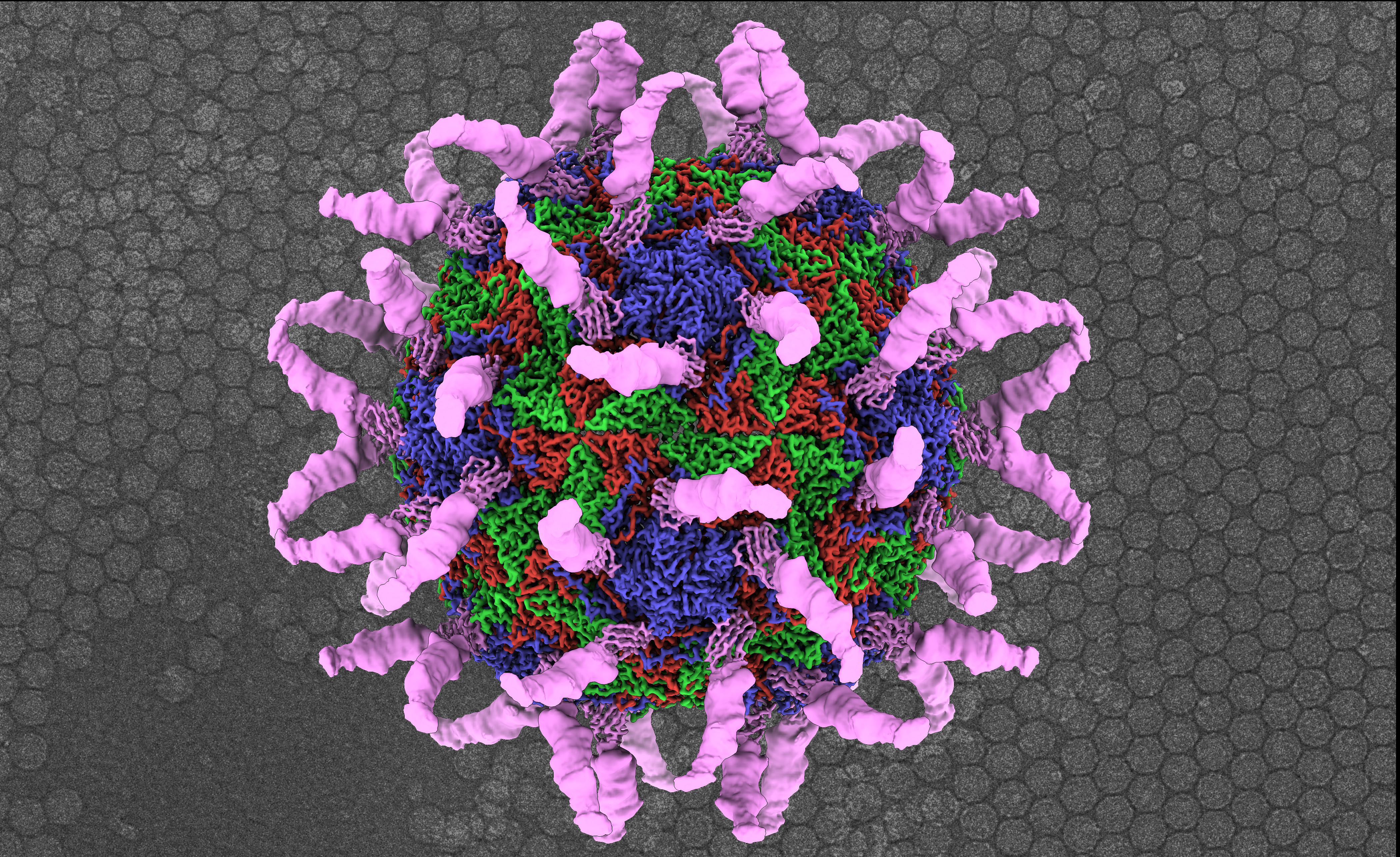 A Kettle of Fish (or Virus Incubator) | Adjunct_Wizard